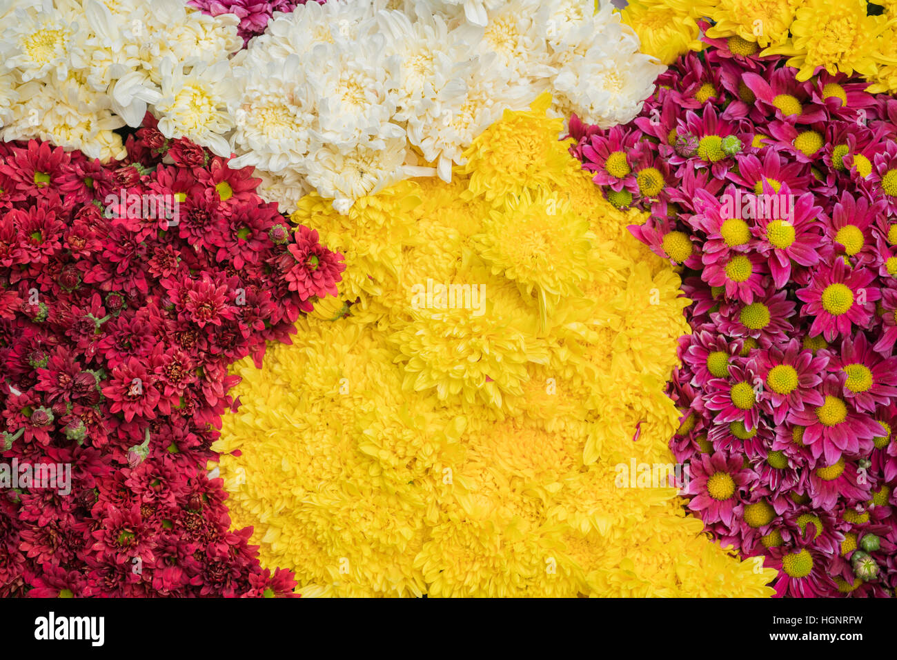 Colorful flowers background for sale at the wholesale flower market in ...