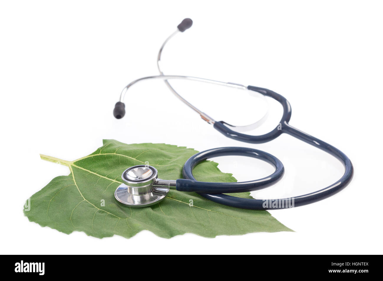 Alternative medicine herbal medicines Cut Out Stock Images & Pictures ...