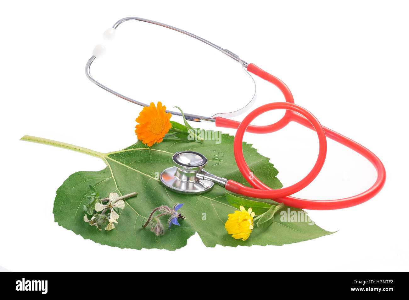 Herbal medicines stethoscope hi-res stock photography and images - Alamy