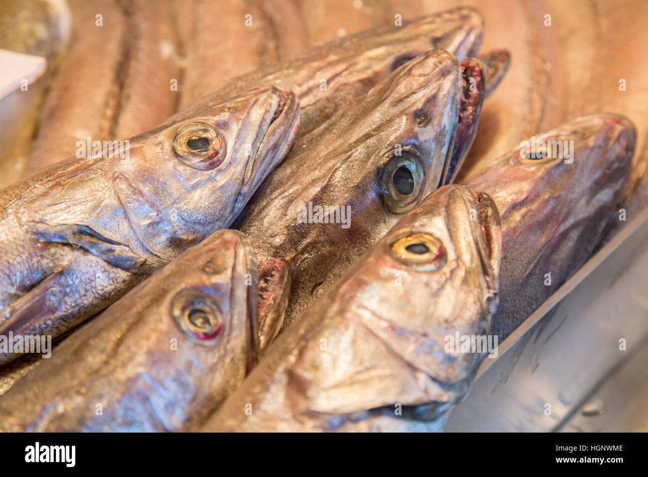 Hake head hi-res stock photography and images - Alamy