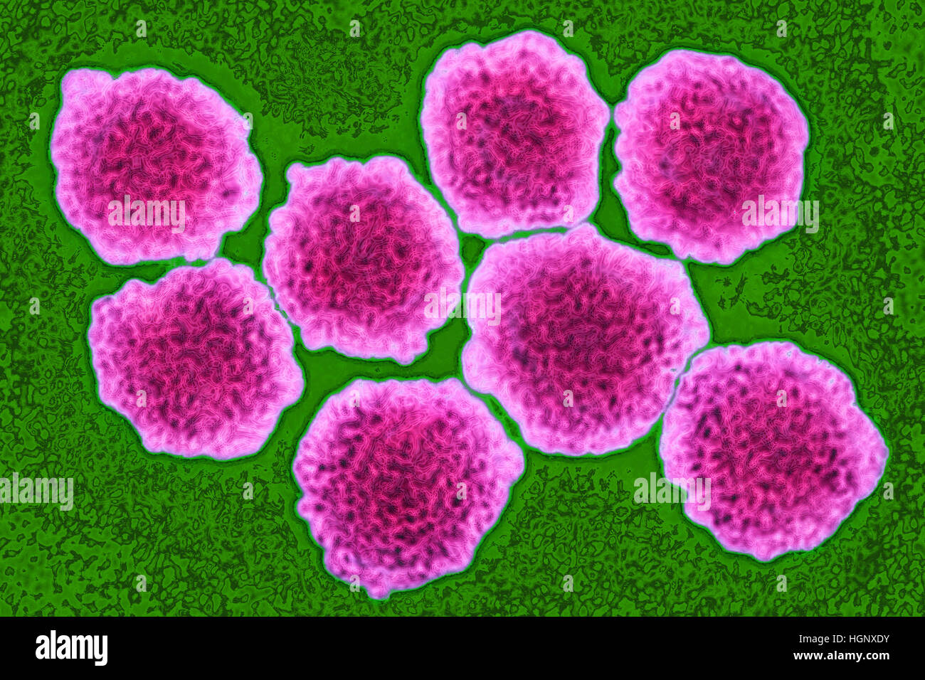 Microscopic techniques hi-res stock photography and images - Alamy