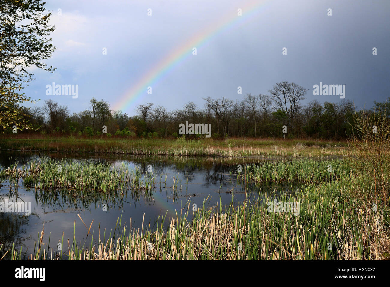 Cloud pop hi-res stock photography and images - Alamy