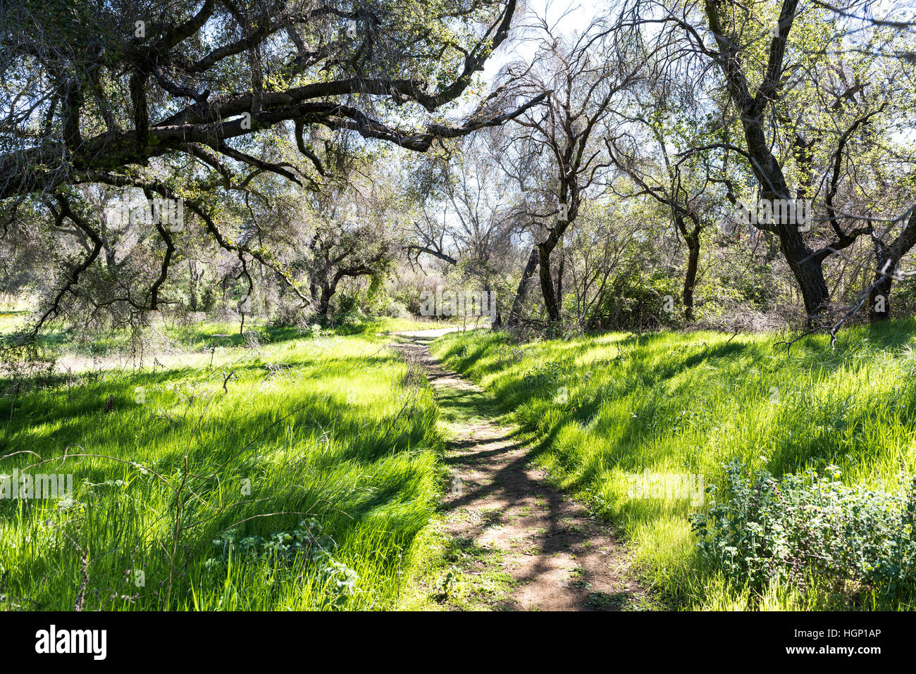 Grass trail hi-res stock photography and images - Alamy