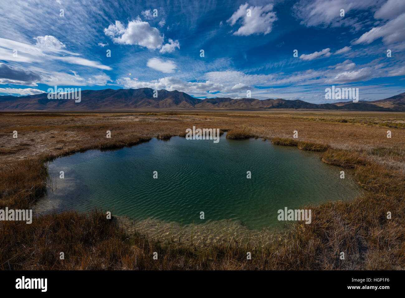 Nevada Hot Springs Ruby Valley Wildlife Refuge Stock Photo - Alamy