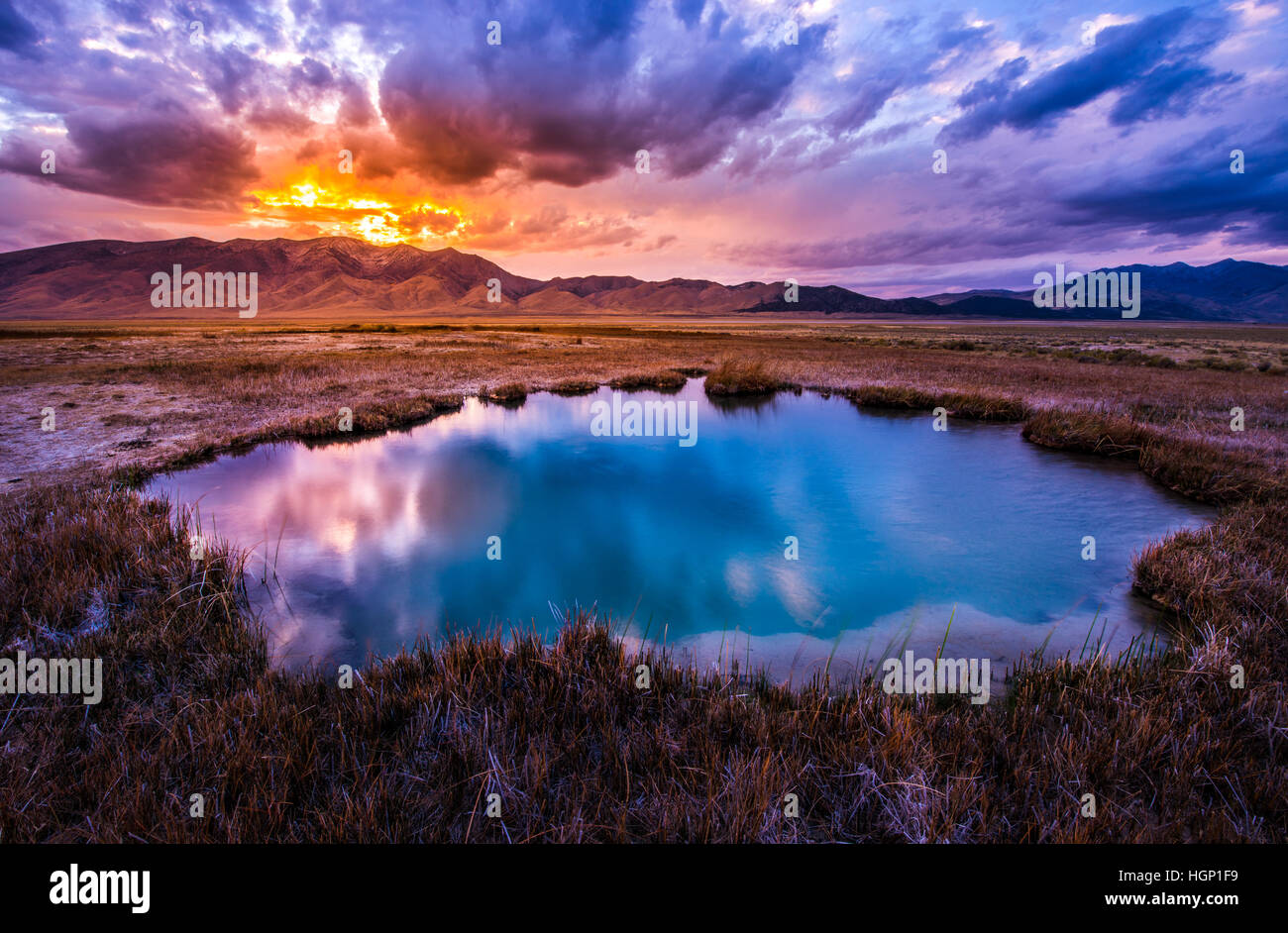 Nevada Hot Springs Ruby Valley Wildlife Refuge Stock Photo - Alamy