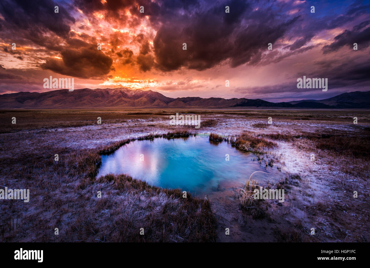Warm springs nevada hi-res stock photography and images - Alamy
