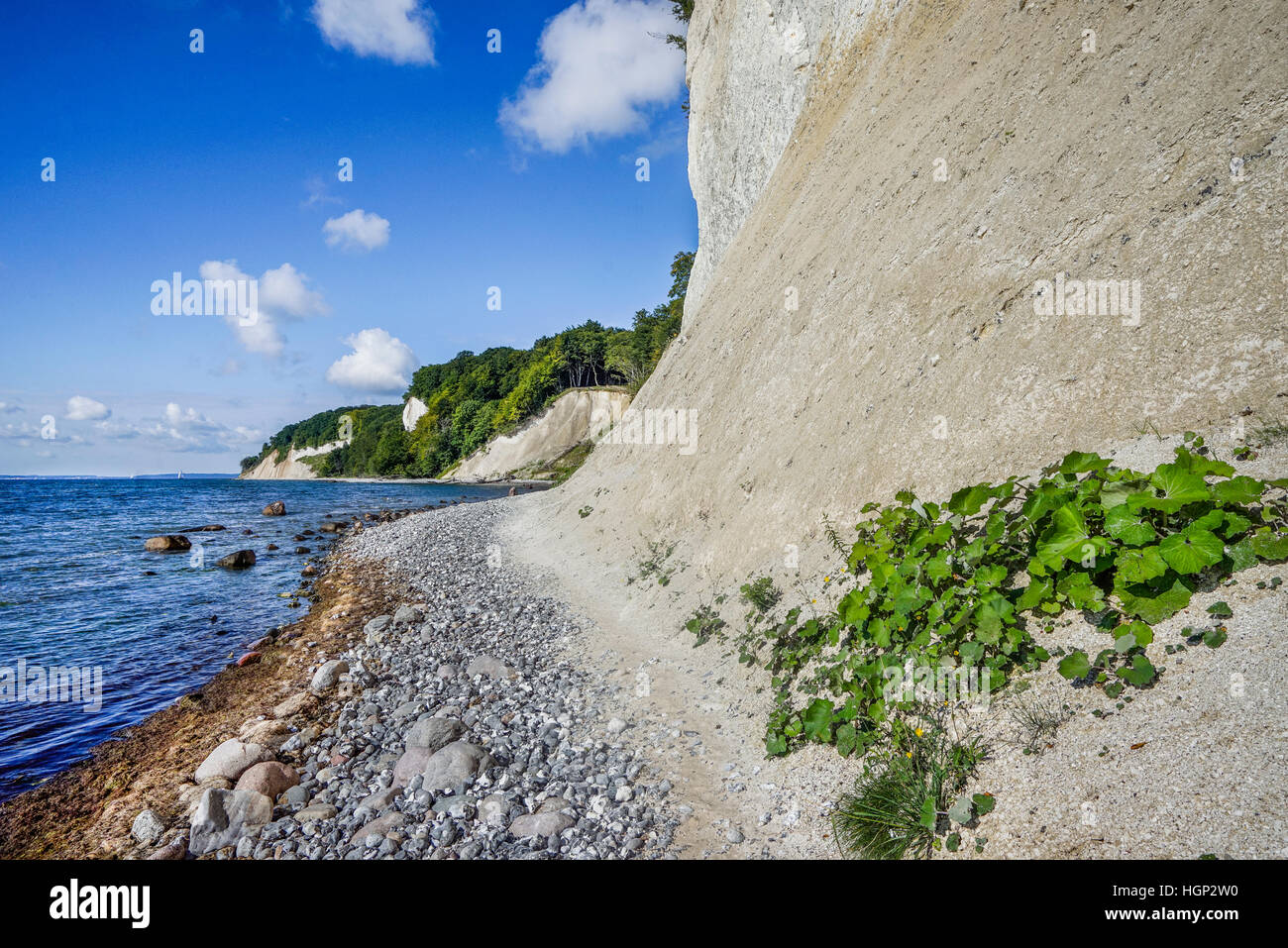 chalk cliff coast at Jasmund National Park, near Königsstuhl (King's ...