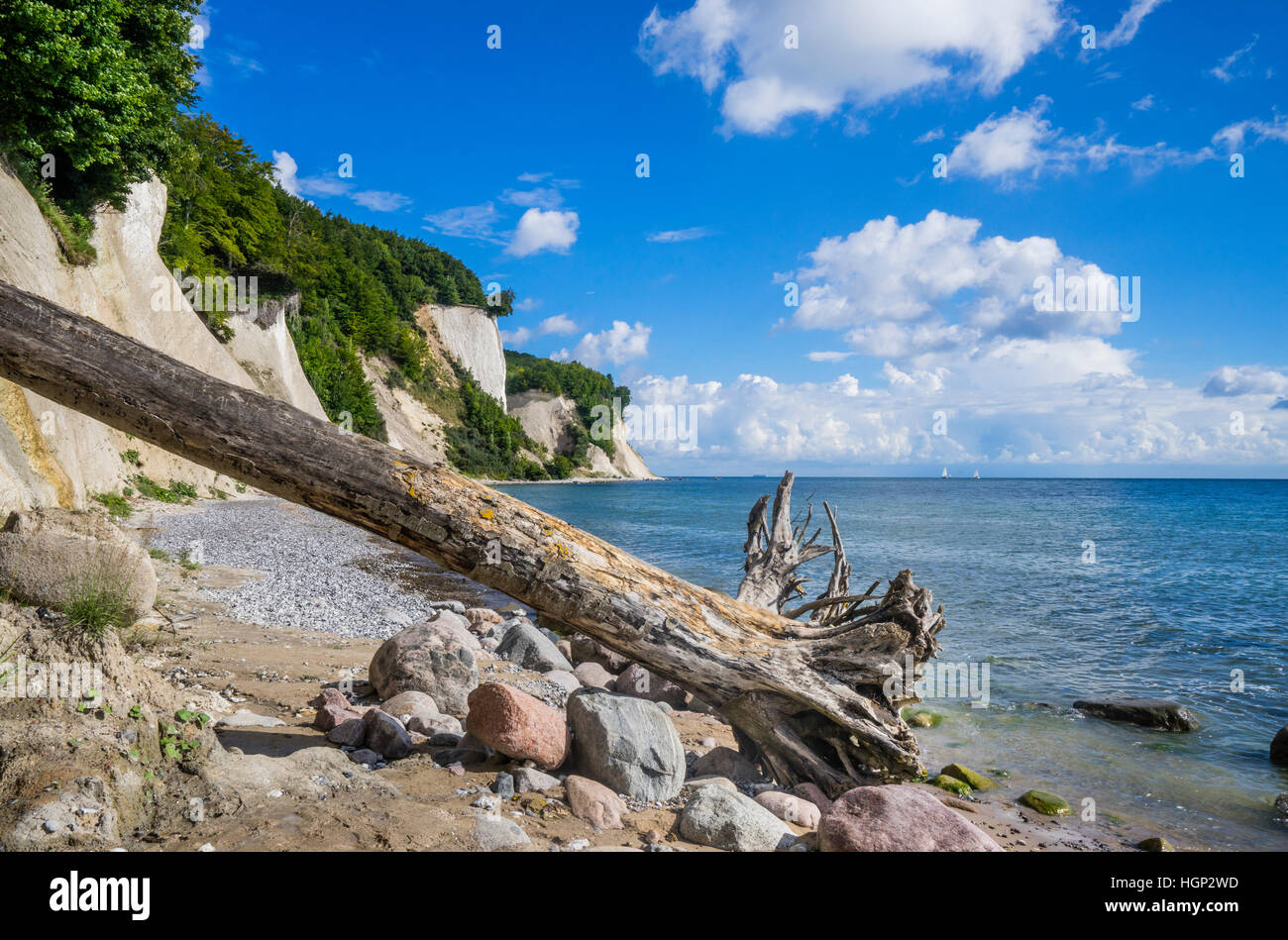 chalk cliff coast at Jasmund National Park, near Königsstuhl (King's ...