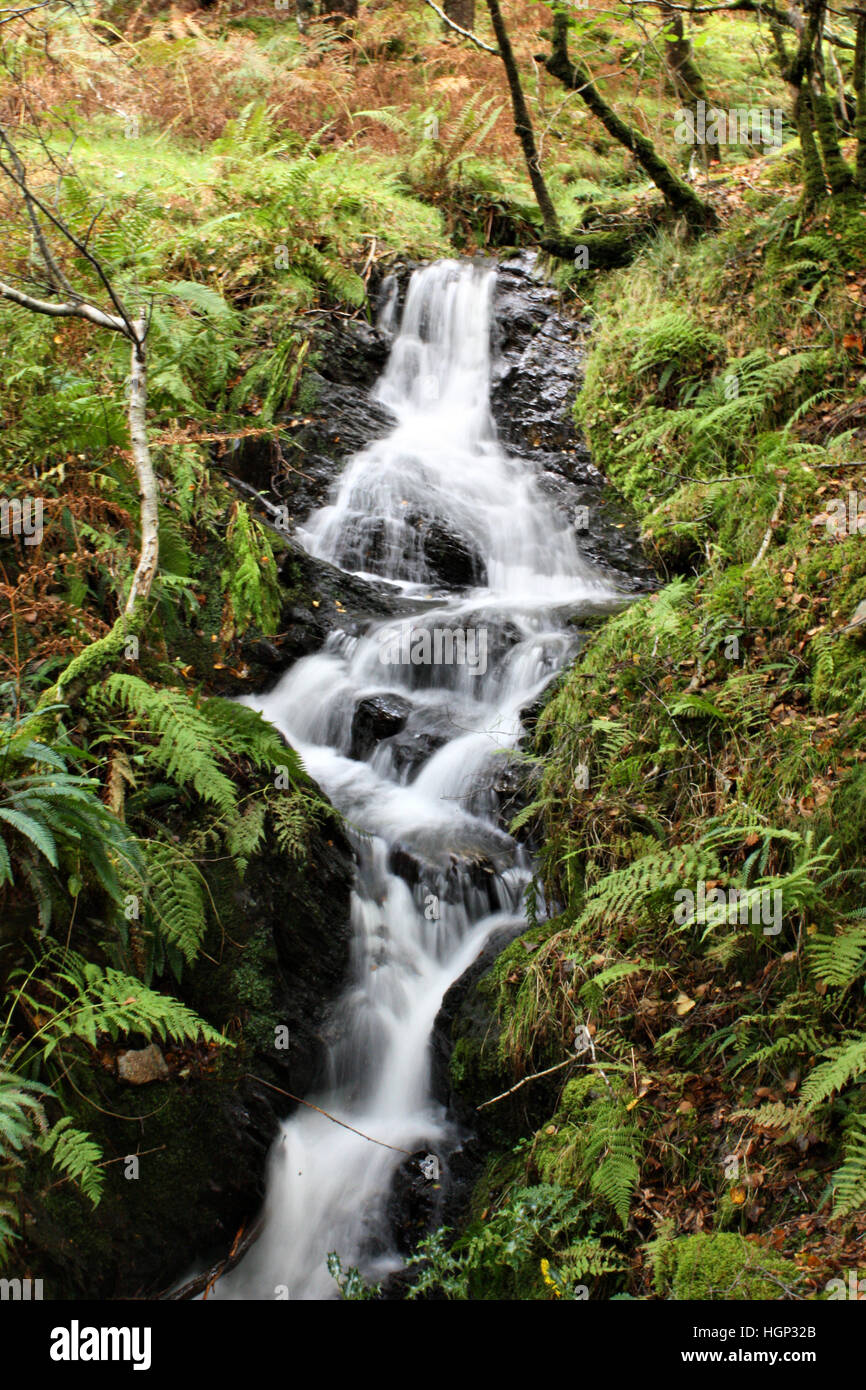 Waterfall running through woodland Stock Photo - Alamy