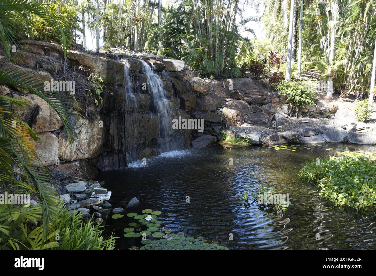 Waterfall in Port Douglas, Australia Stock Photo - Alamy