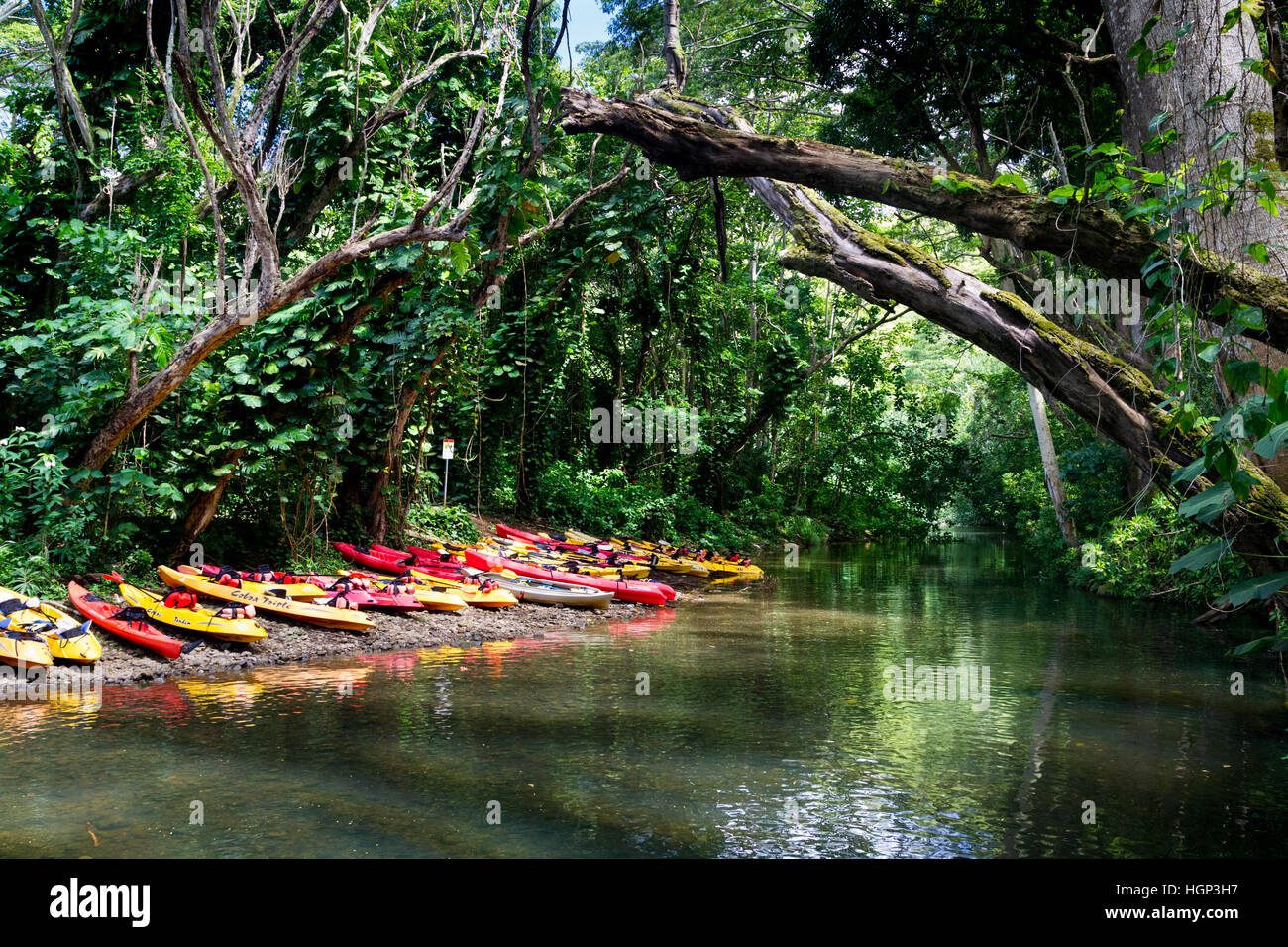 Red and yellow kayaks lying on the river bank of a tributary of the ...