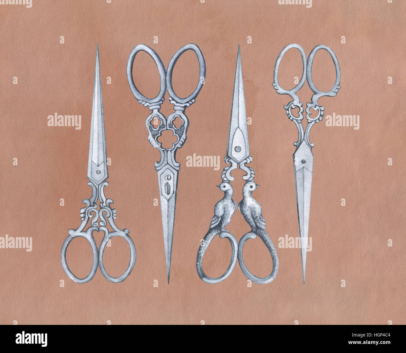 Antique scissors - vintage accessory. Hand drawn watercolor painting on ...