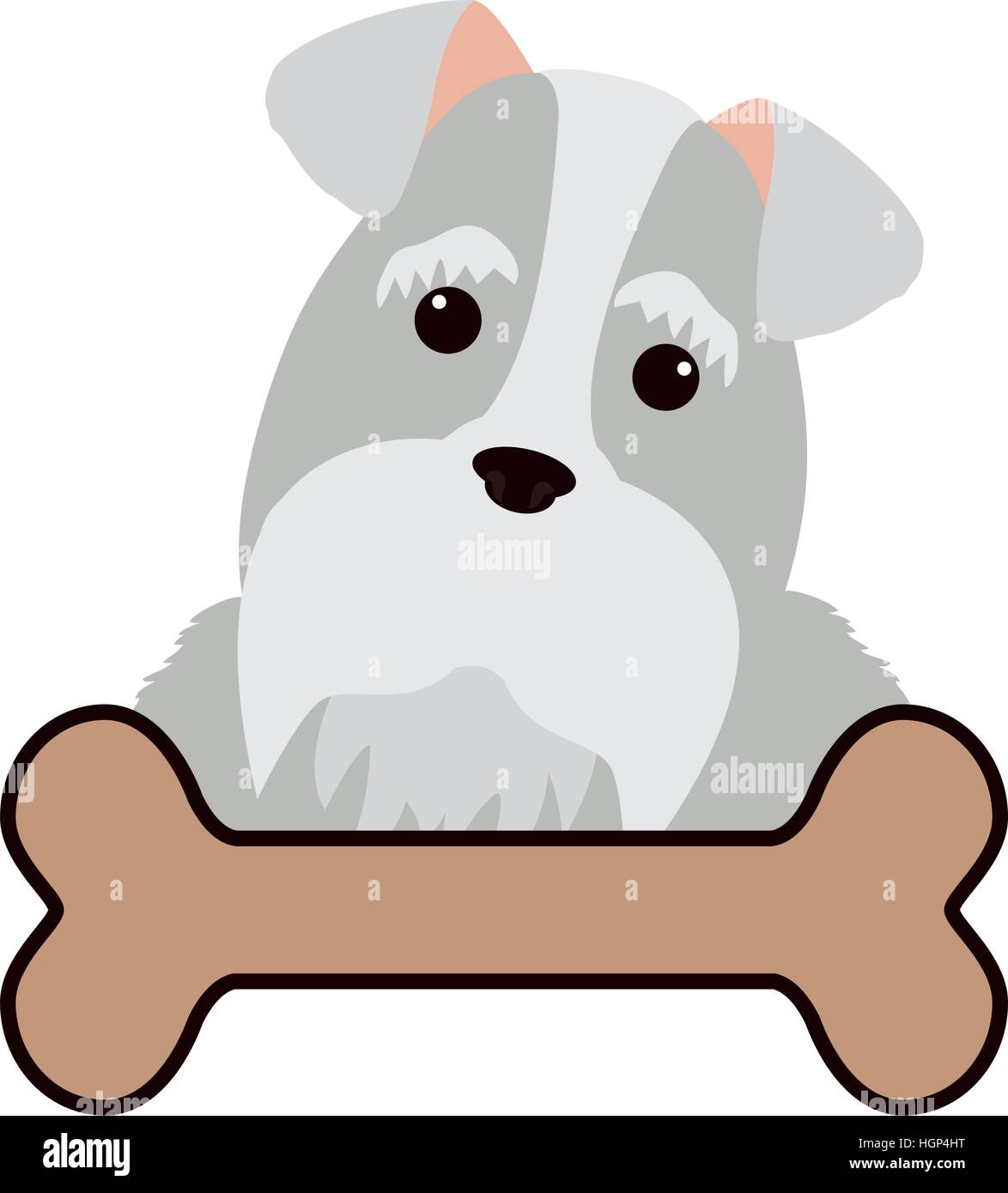 cute dog and bone icon over white background. colorful design. vector ...
