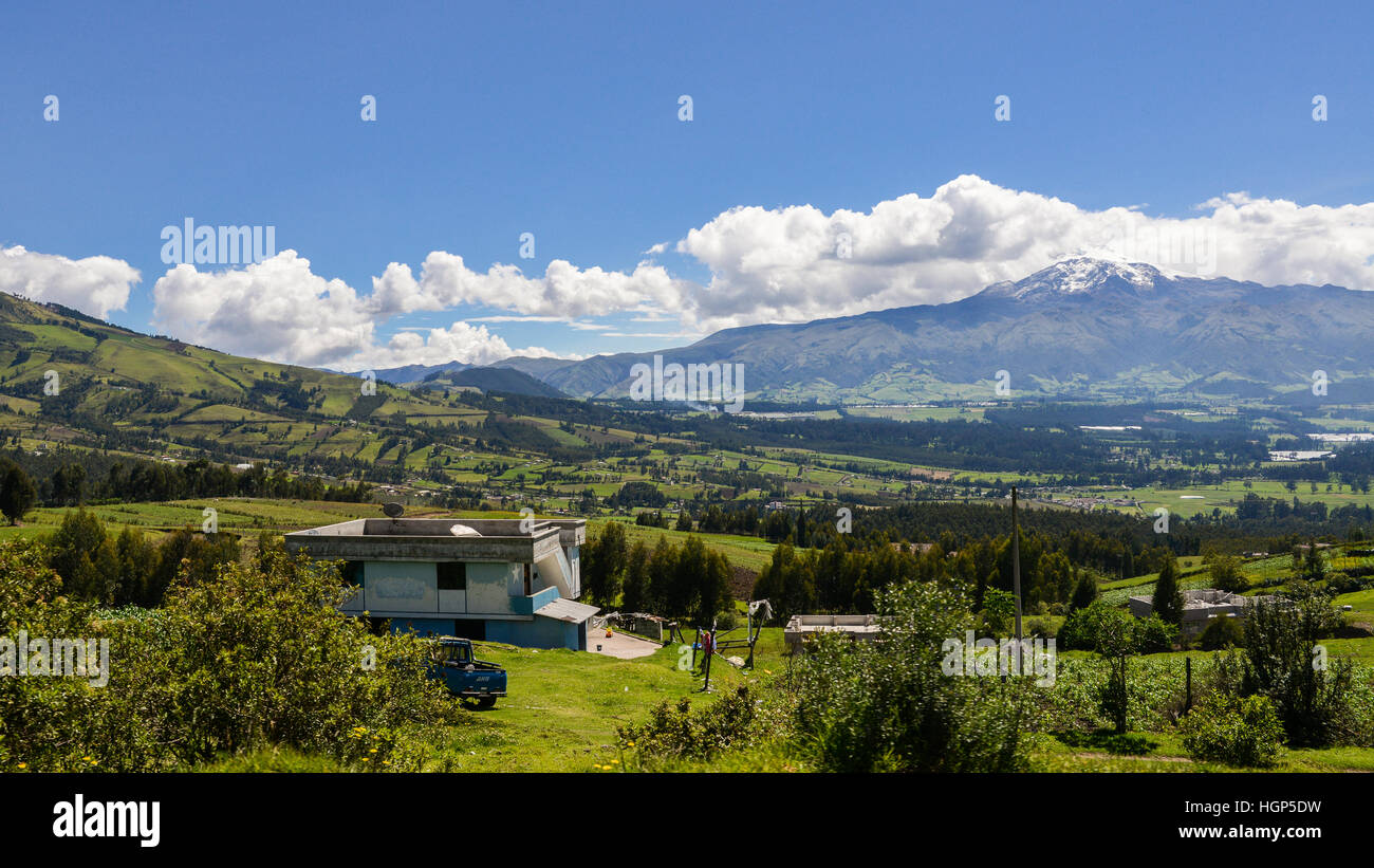 Ecuador flower andes mountain hi-res stock photography and images - Alamy