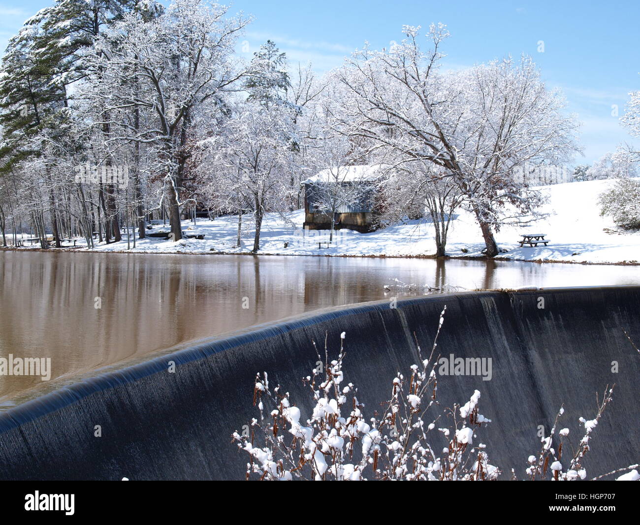 Small tress hi-res stock photography and images - Alamy