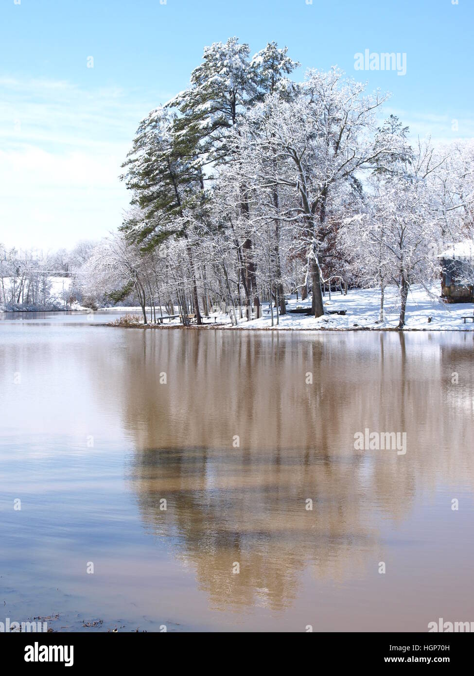 Trees reflecting on th water in winter Stock Photo - Alamy