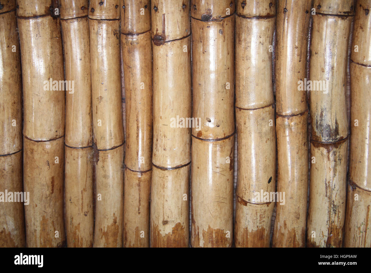 Japanese style bamboo fence hi-res stock photography and images - Alamy