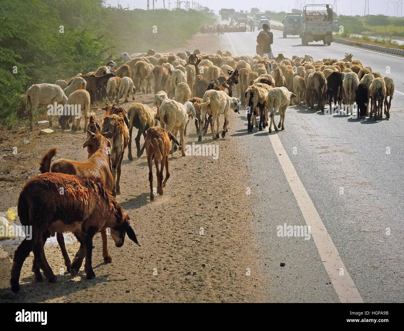 Goat truck hi-res stock photography and images - Alamy