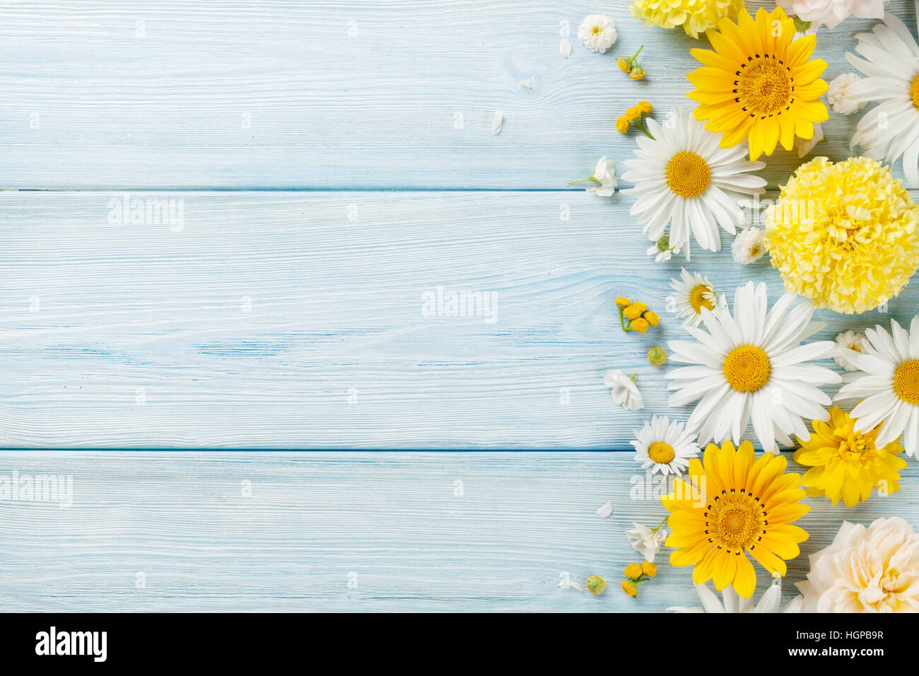 Garden flowers over blue wooden table background. Backdrop with copy ...