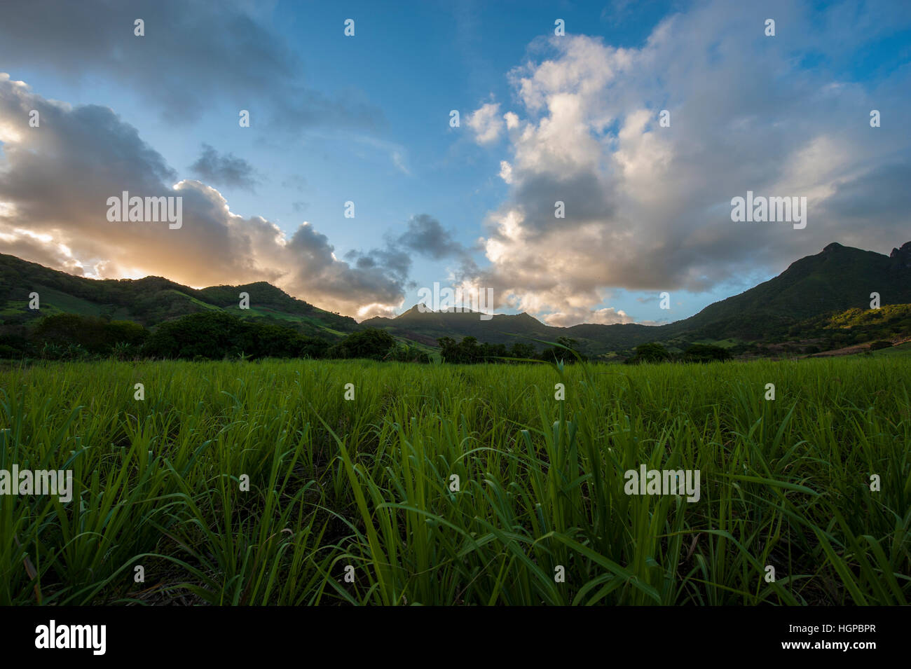 Landscape of Mauritius Island Stock Photo - Alamy
