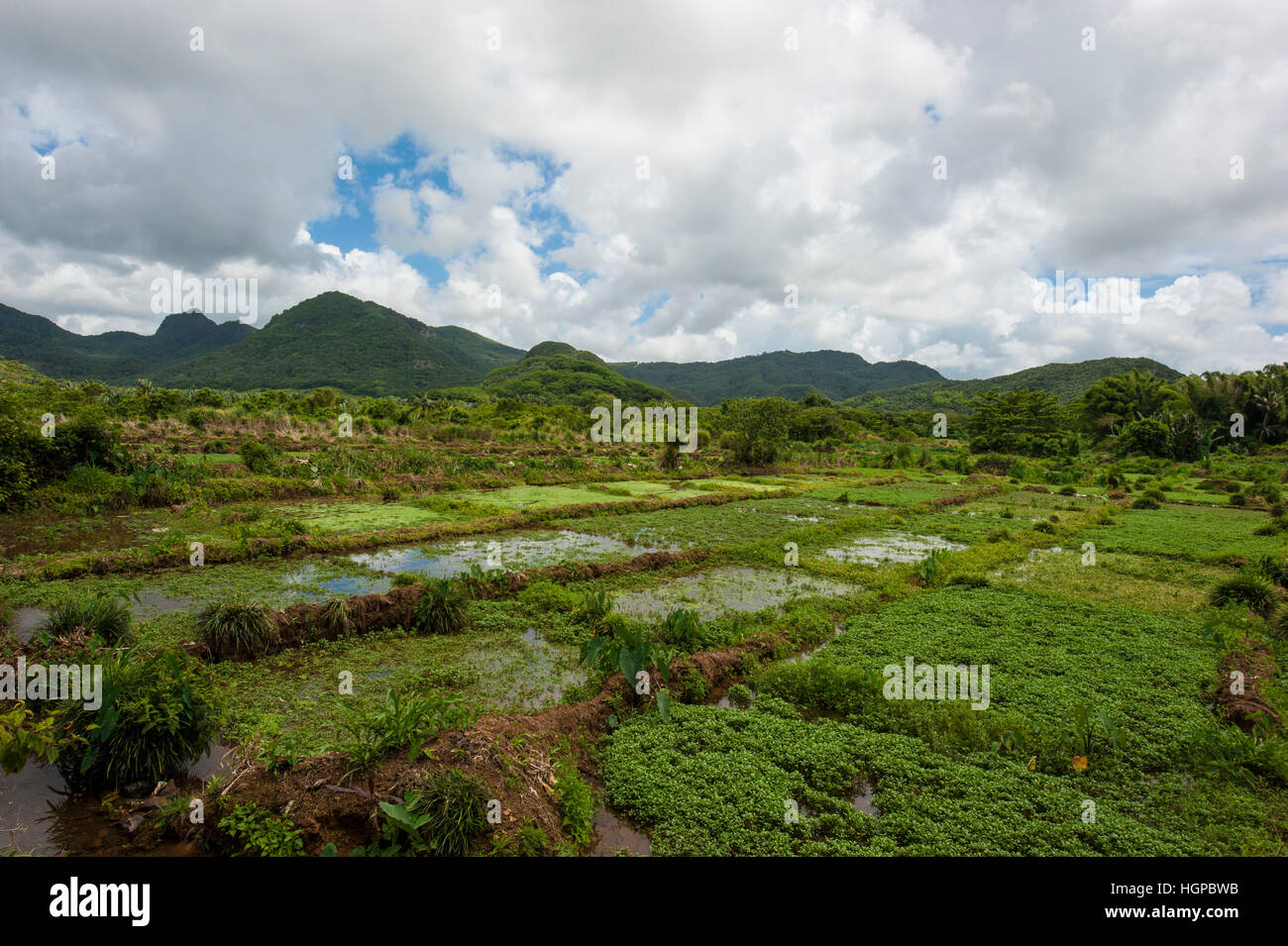 Watercress park hi-res stock photography and images - Alamy
