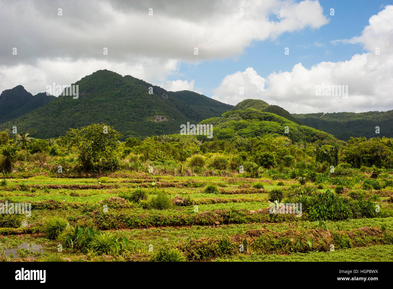 A view of Le Val, Mauritius Stock Photo - Alamy