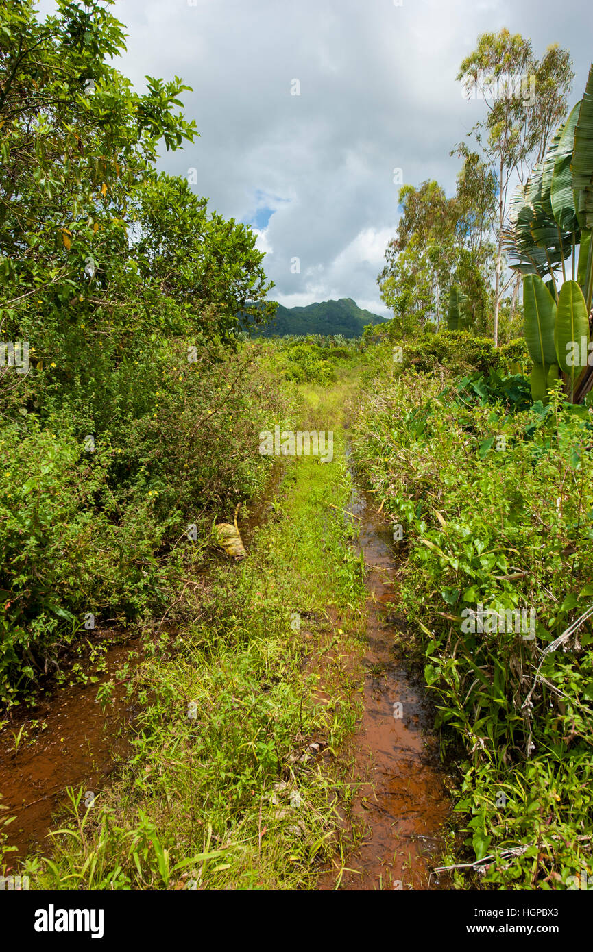 A view of Le Val, Mauritius Stock Photo - Alamy