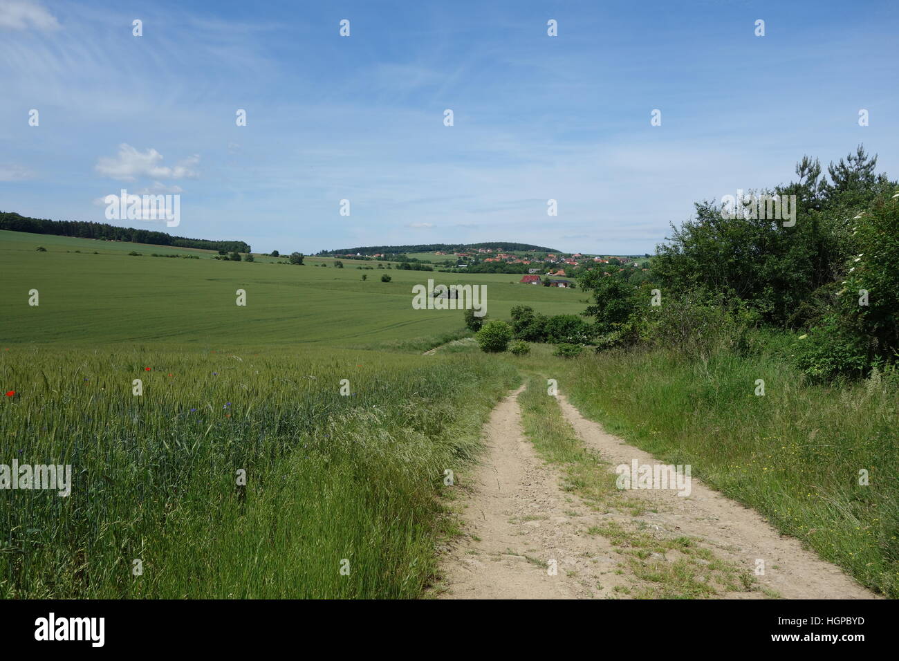 Road in central bohemia country Stock Photo - Alamy