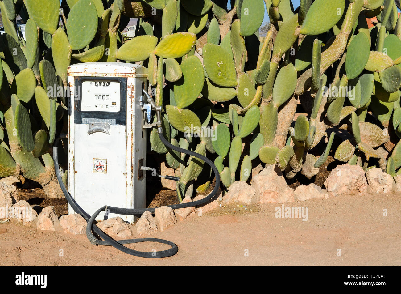 Petrol pump and cactus trees in Solitaire, Namibia Stock Photo - Alamy