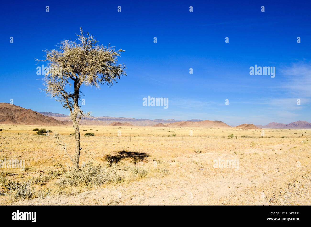 Savannah landscape around Sesriem, Namibia, in the Namib desert Stock ...