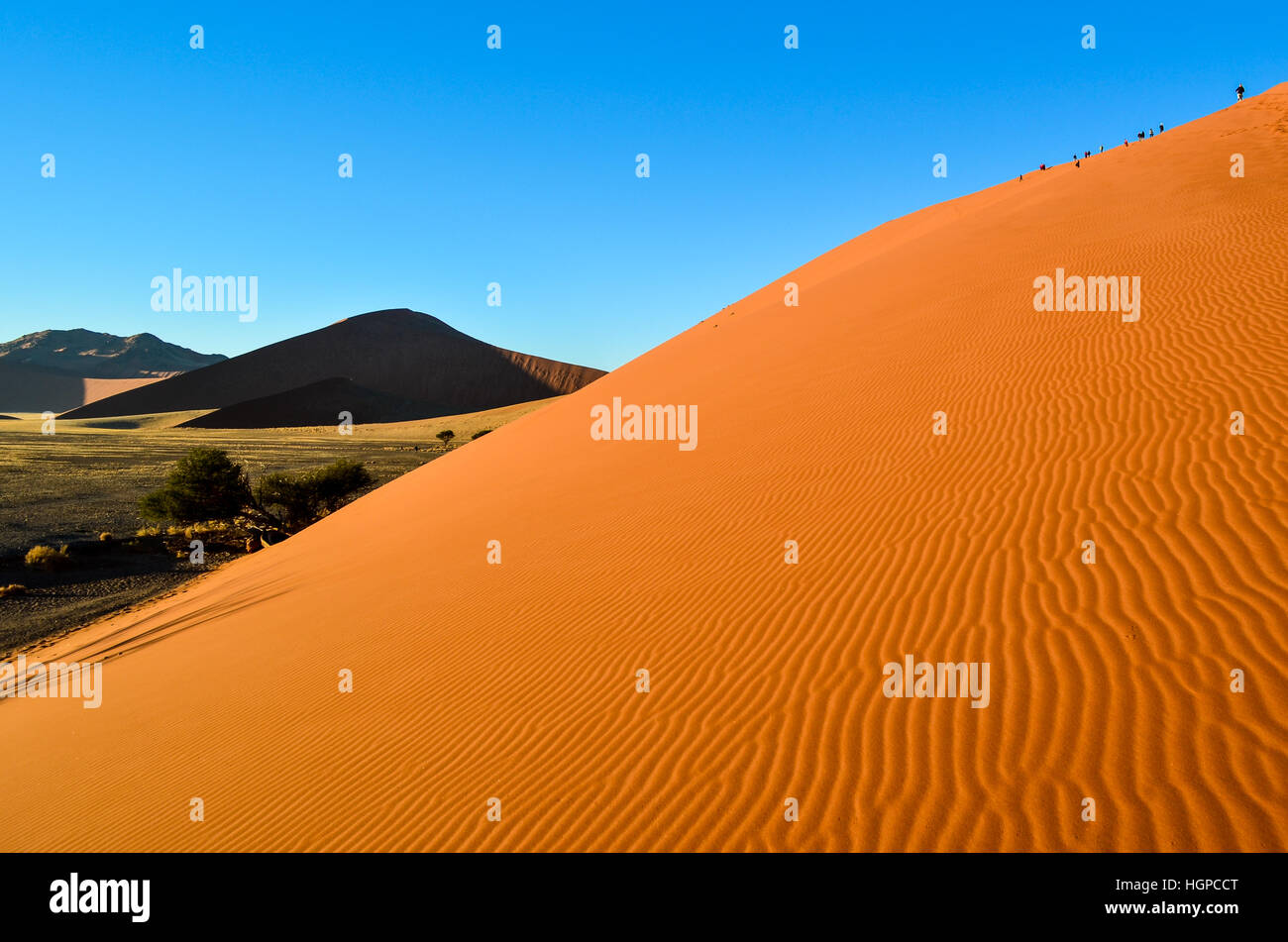 Sand dunes in the Namib Desert, Sossusvlei, Namibia Stock Photo - Alamy