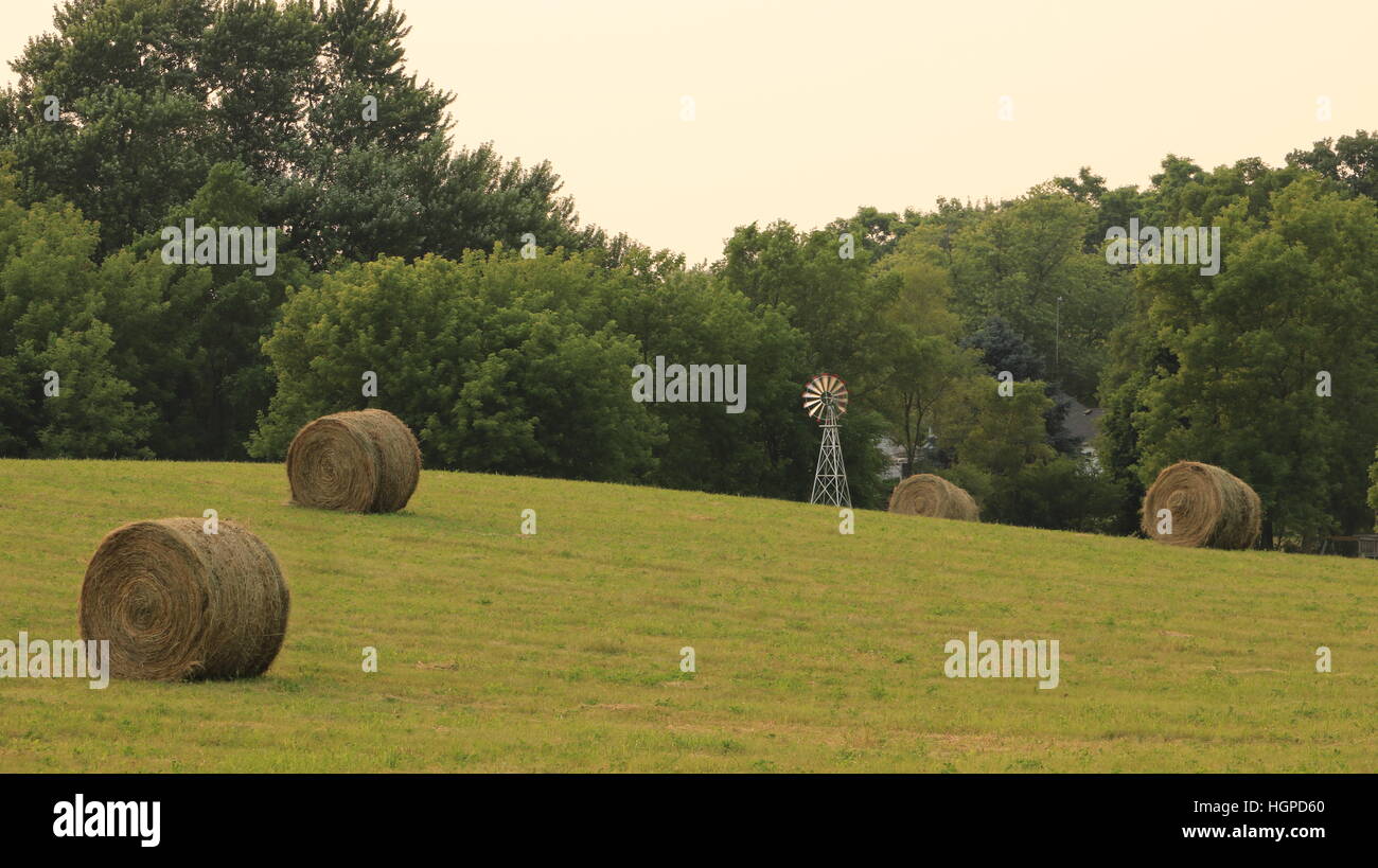 A beautiful day on the farm Stock Photo - Alamy