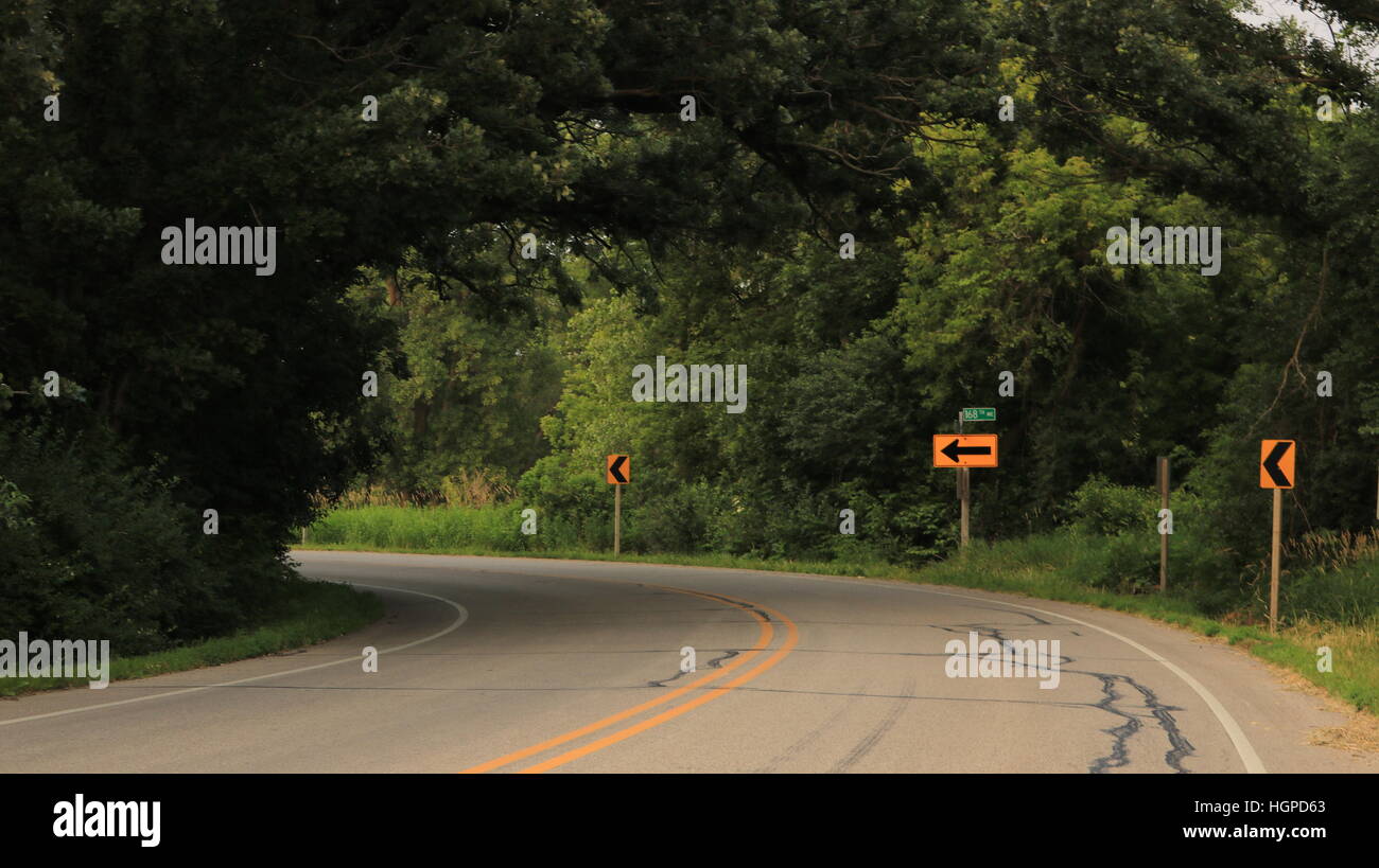 Trees and plants rise from the forest floor Stock Photo - Alamy