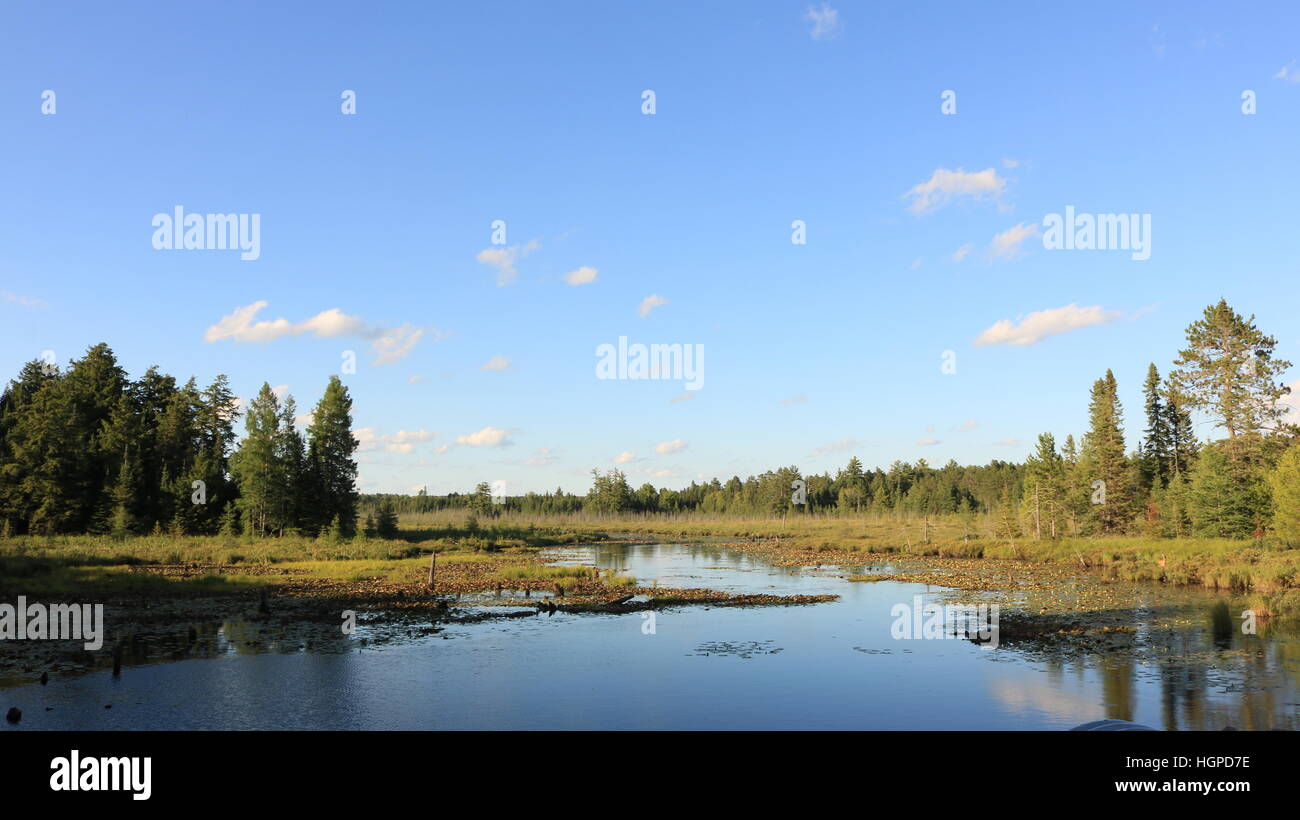 Northwoods North Woods High Resolution Stock Photography and Images - Alamy