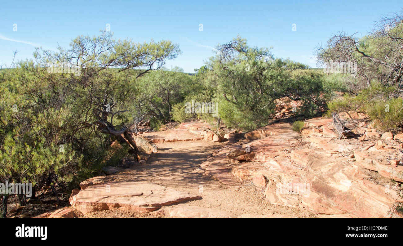 Rugged sandstone terrain with native plants in the Z-bend bushland ...