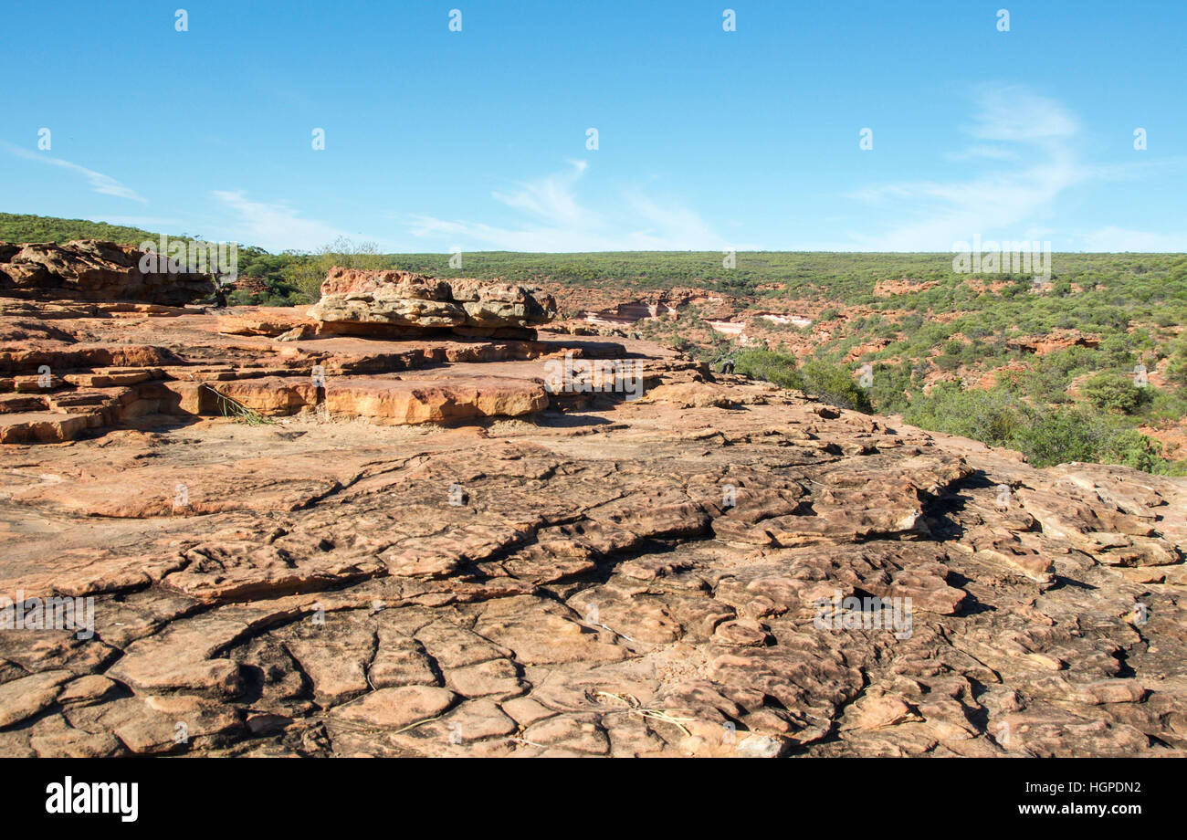 Rugged layers of sandstone rock at the Z-bend lookout with native ...