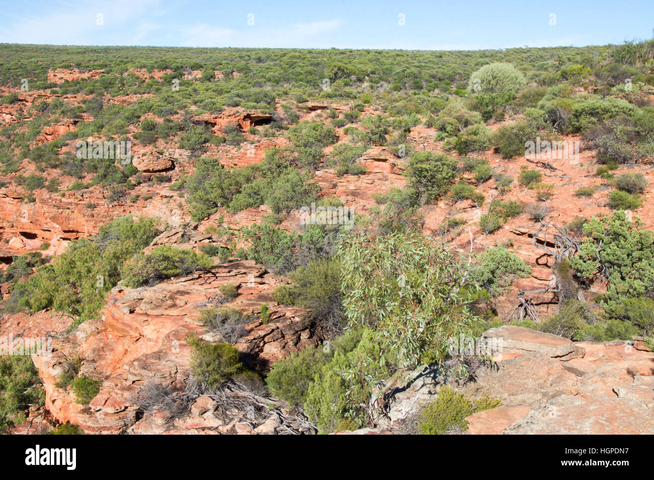 Natural red sandstone and native flora in the bushland at the Z-bend in ...