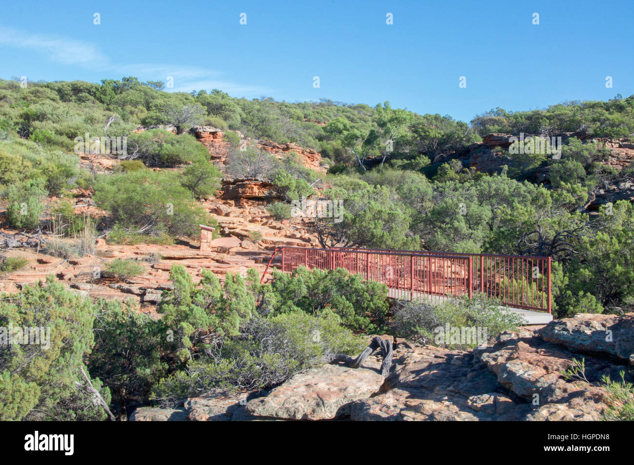 Elevated pedestrian bridge to the Z-bend lookout in the native bushland ...