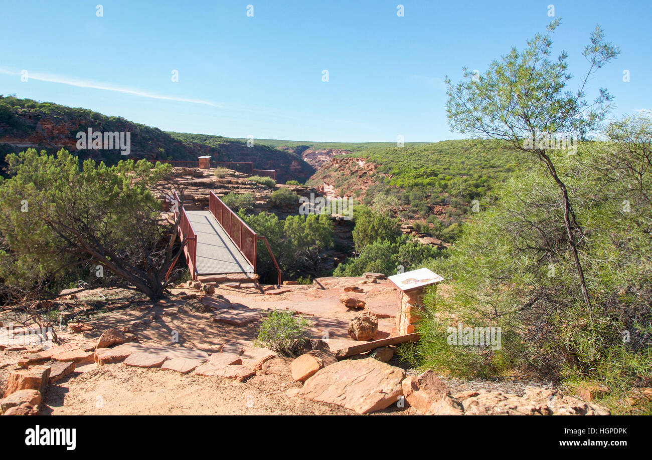 Elevated pedestrian bridge to the Z-bend lookout in the native bushland ...