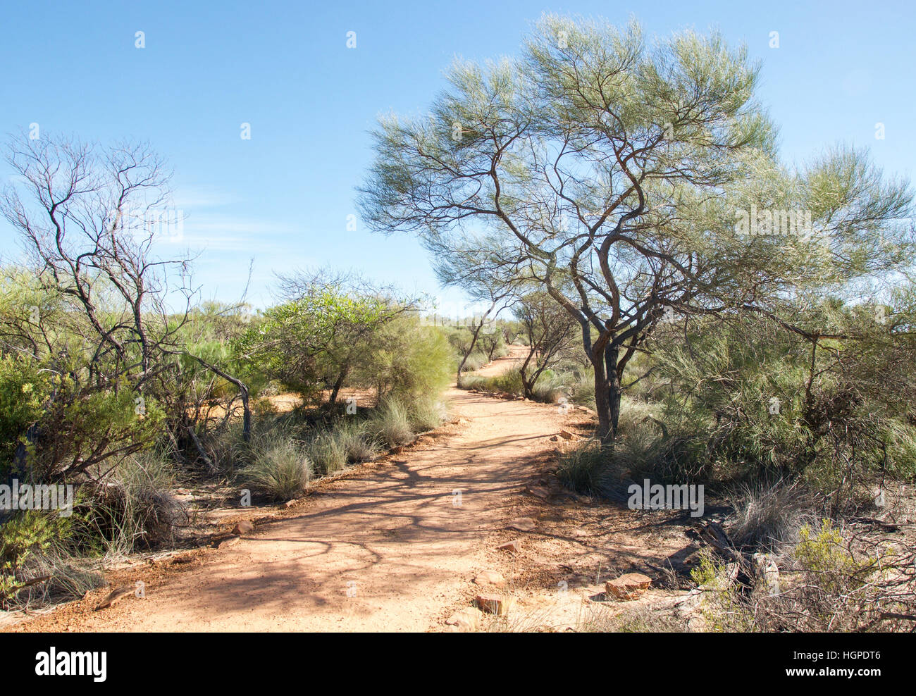 Path to the Z-bend through native bushland at Kalbarri National Park ...