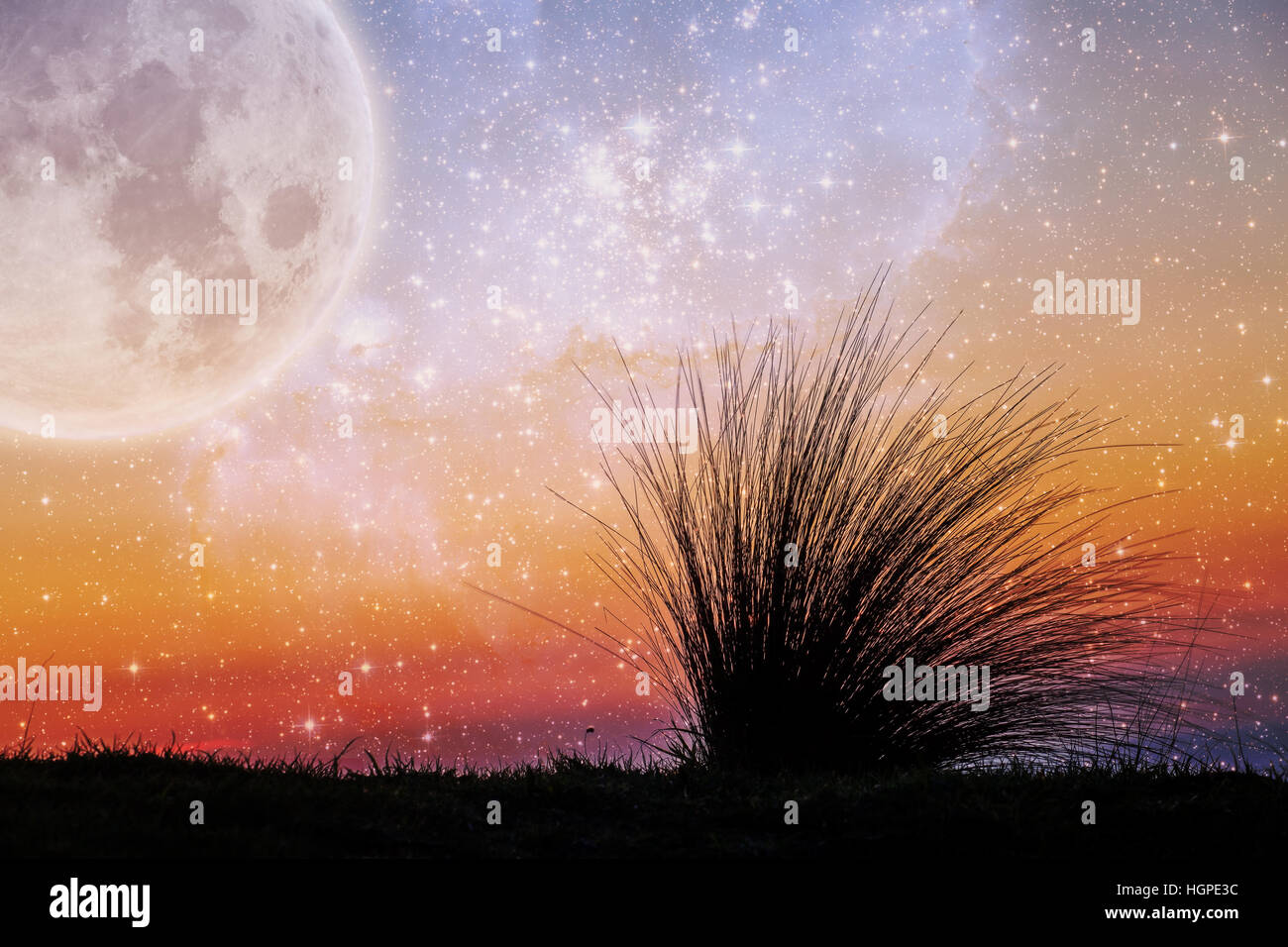 Alien landscape hi-res stock photography and images - Alamy