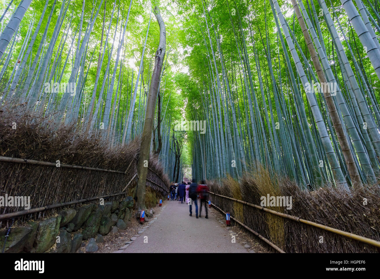 The bamboo road in Arashiyama area, Kyoto, Japan Stock Photo - Alamy