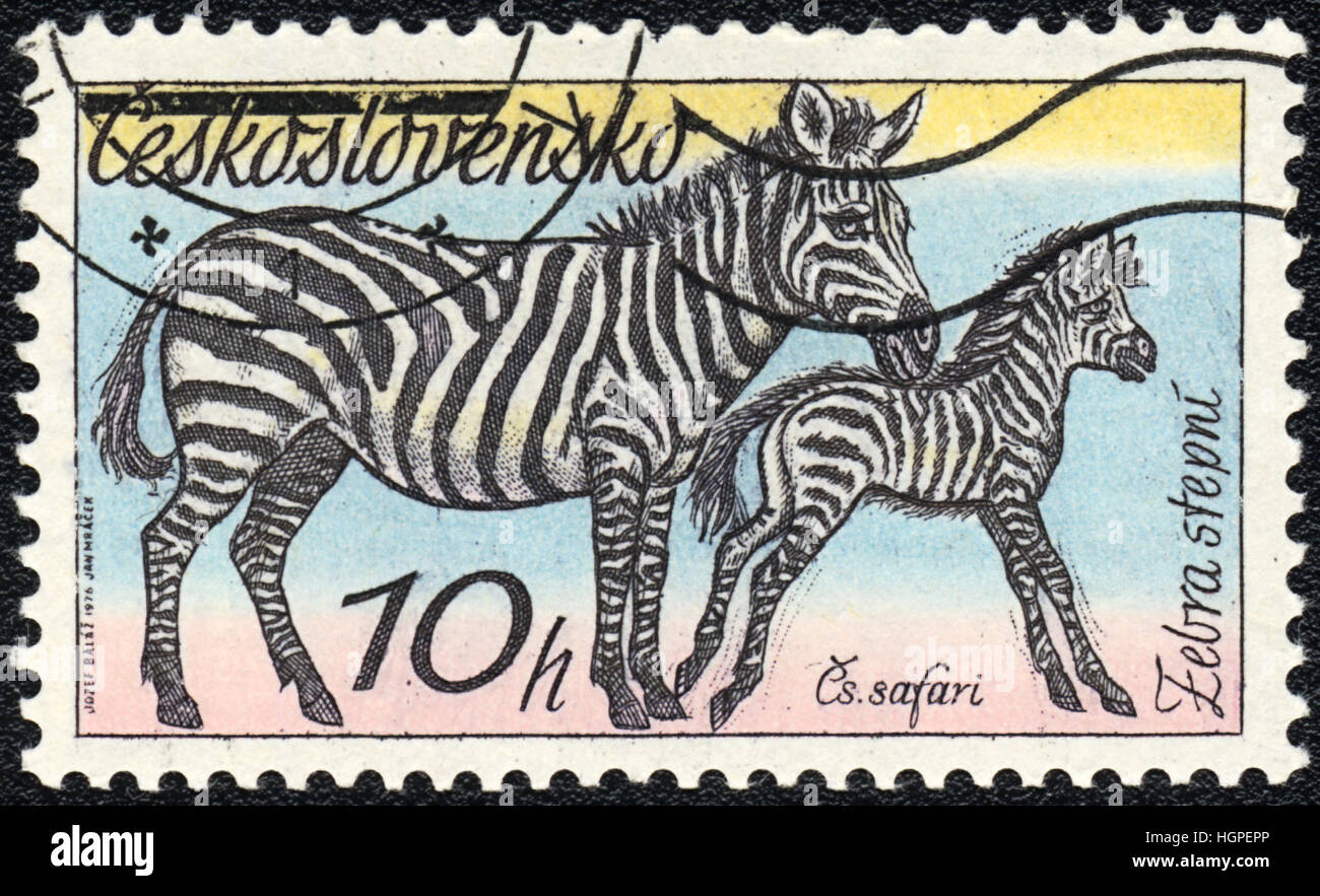 A postage stamp printed in Czechoslovakia shows Plains Zebra, 1976 ...