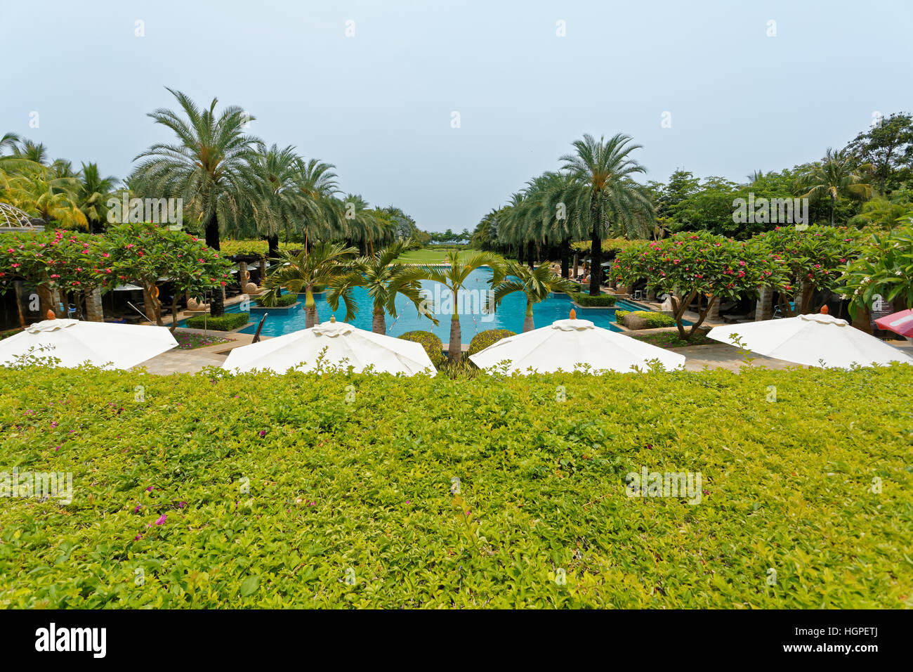 Hotel swimming pool in garden of tropical trees Stock Photo - Alamy