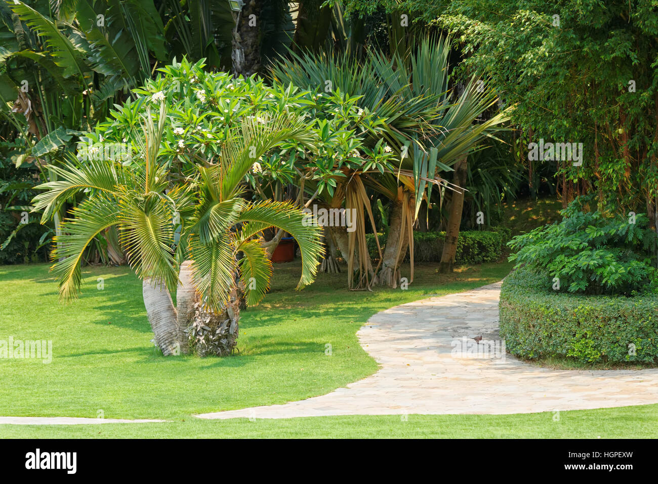 Hotel garden with grass, tropical trees, paths and swimming pool Stock ...
