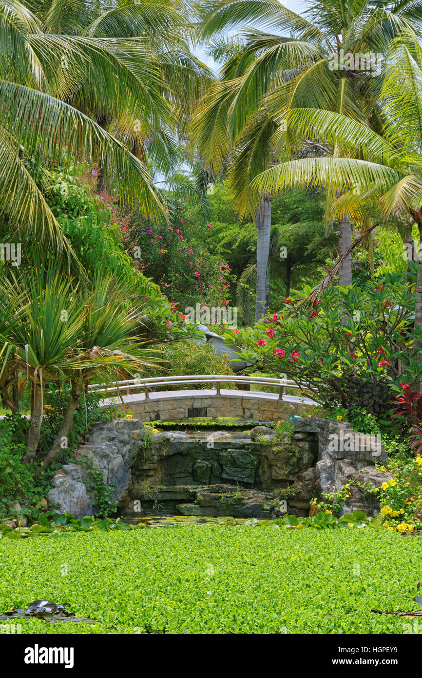 Large hotel's garden of tropical trees with small bridge over the canal ...