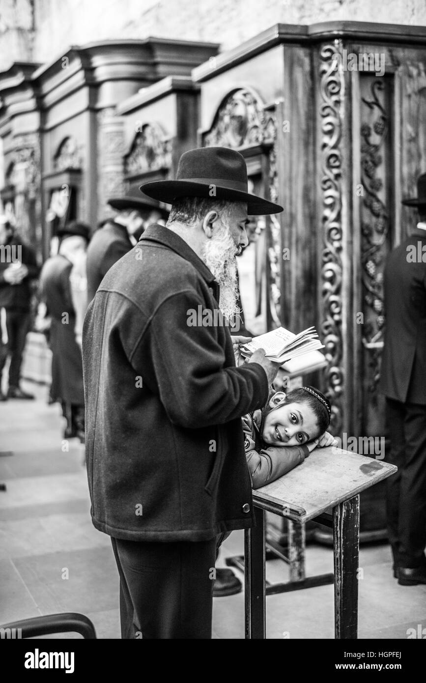 Hasidic Jews praying at the Western Wall, Jerusalem, Israel, Middle ...