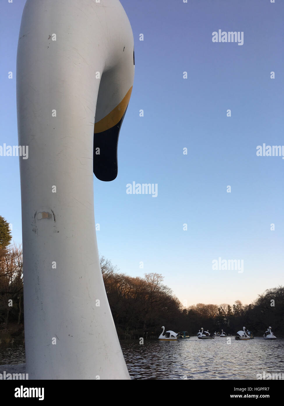 Swan boat pedalo boats on the pond in Inokashira Koen Park, in ...