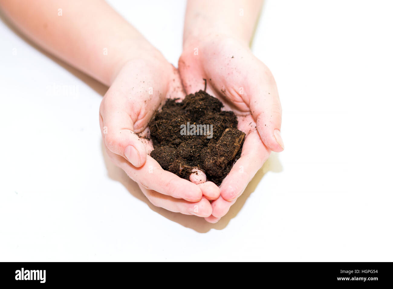 Handful of rich fertile soil in human hands isolated on white ...