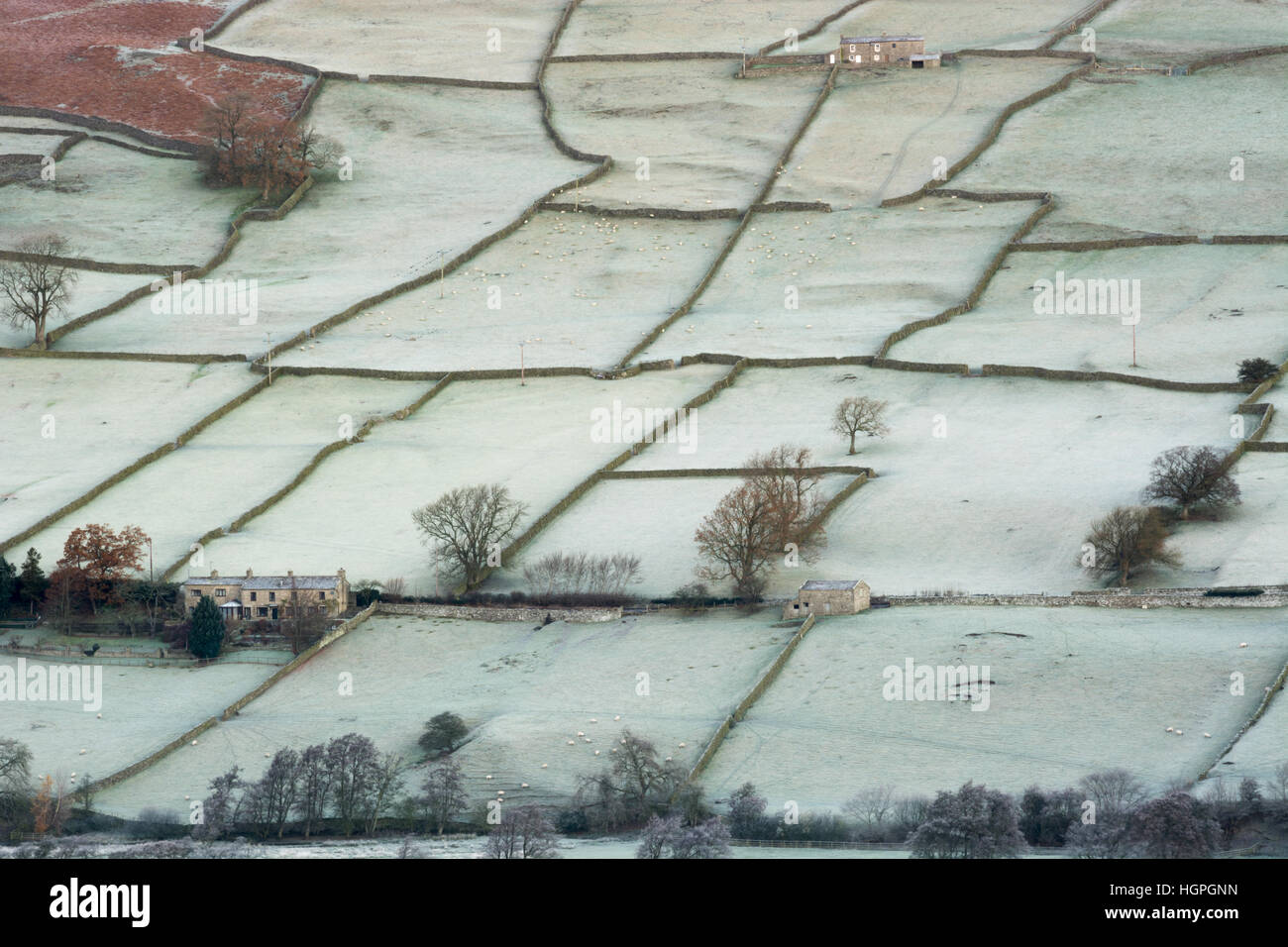 Frosty fields in Swaledale Stock Photo - Alamy